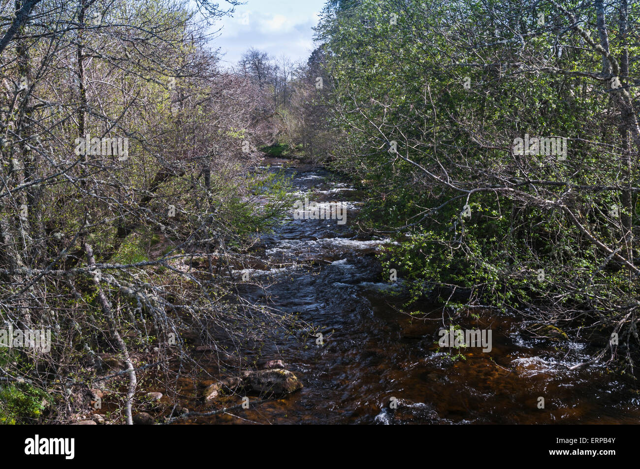 Neithich hi-res stock photography and images - Alamy