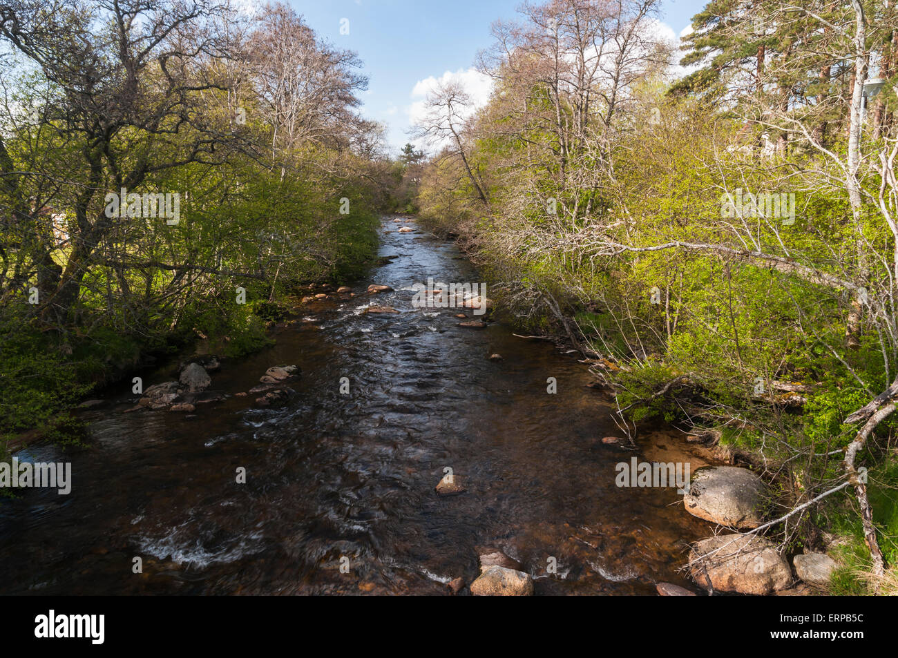 Nethy bridge scotland hi-res stock photography and images - Alamy