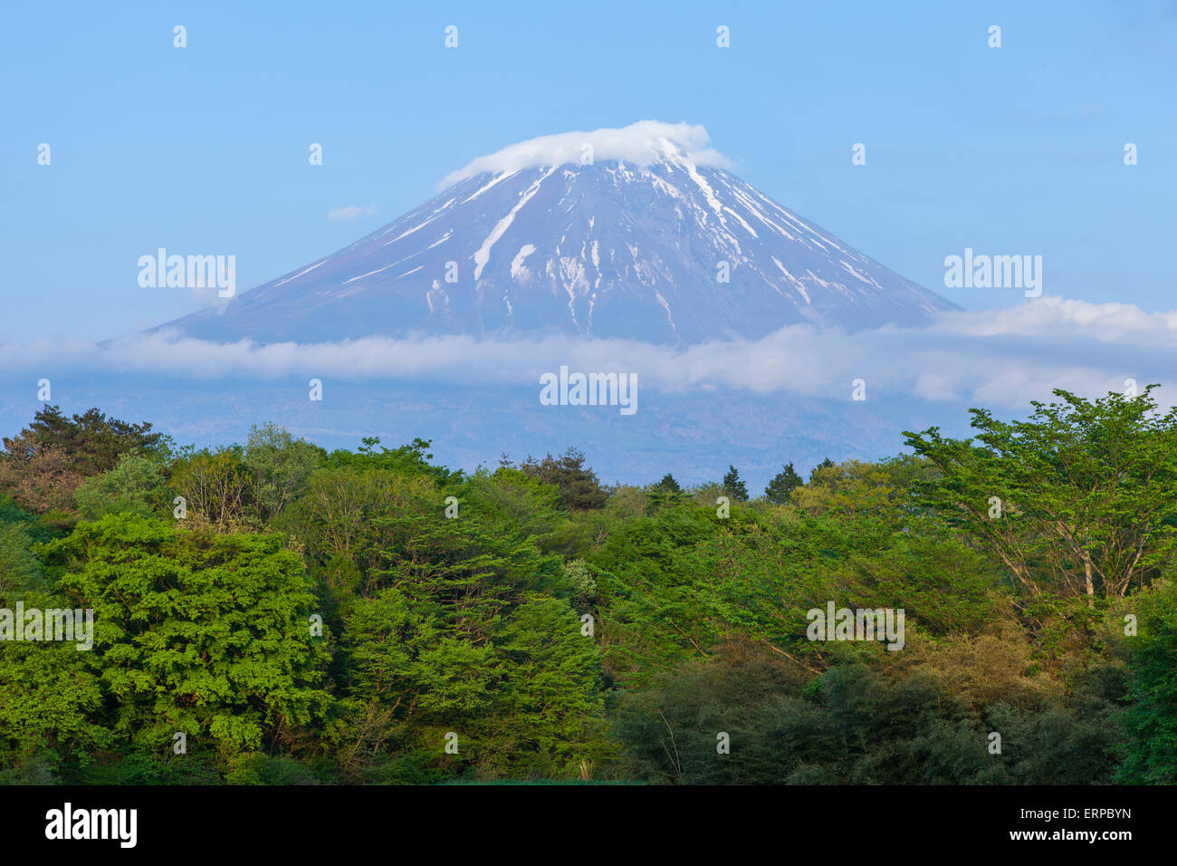 Panoramic view of Mount Fuji Stock Photo - Alamy