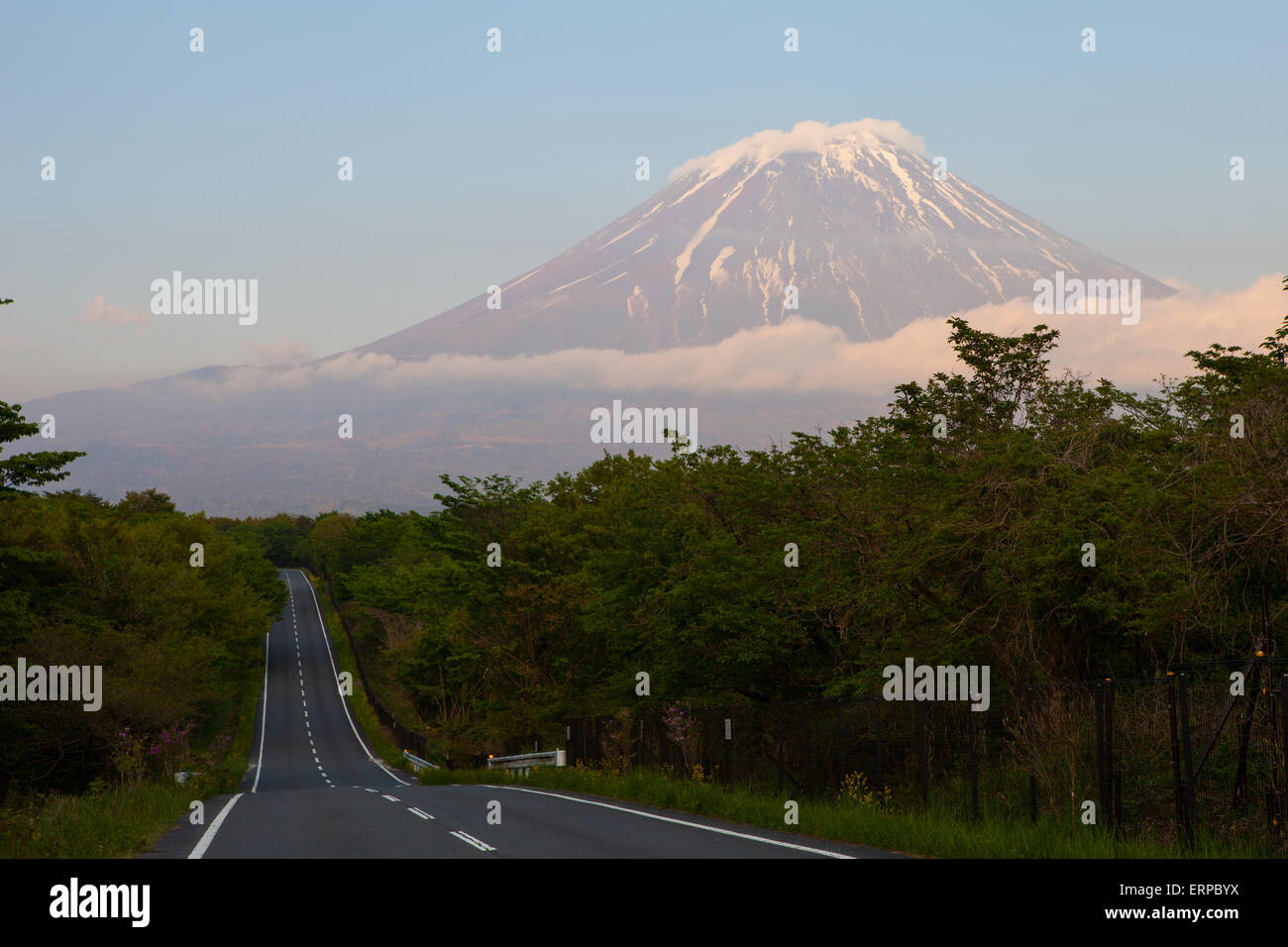 Panoramic view of Mount Fuji Stock Photo - Alamy