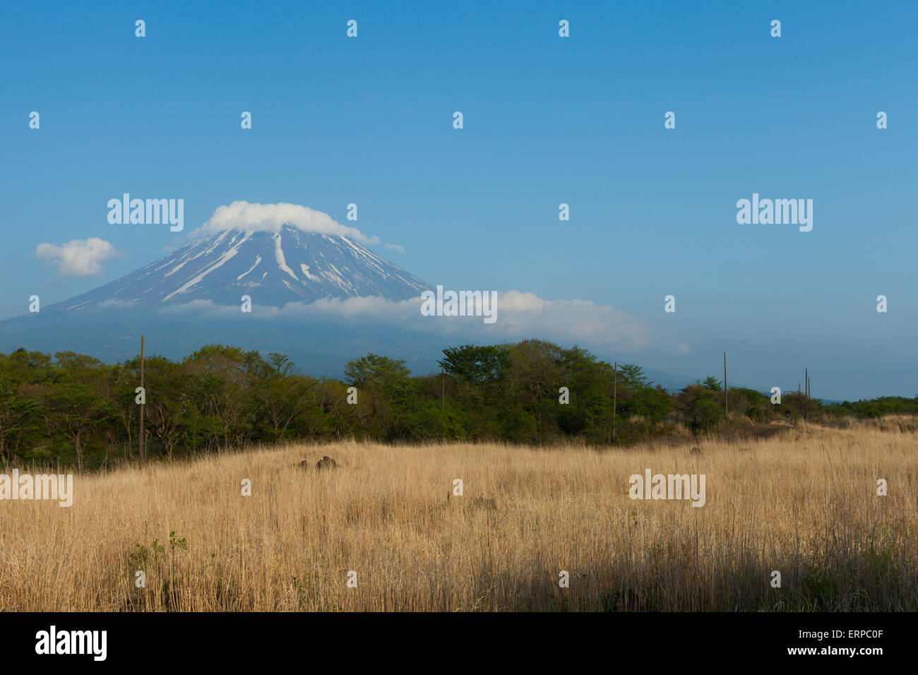 Panoramic view of Mount Fuji Stock Photo - Alamy