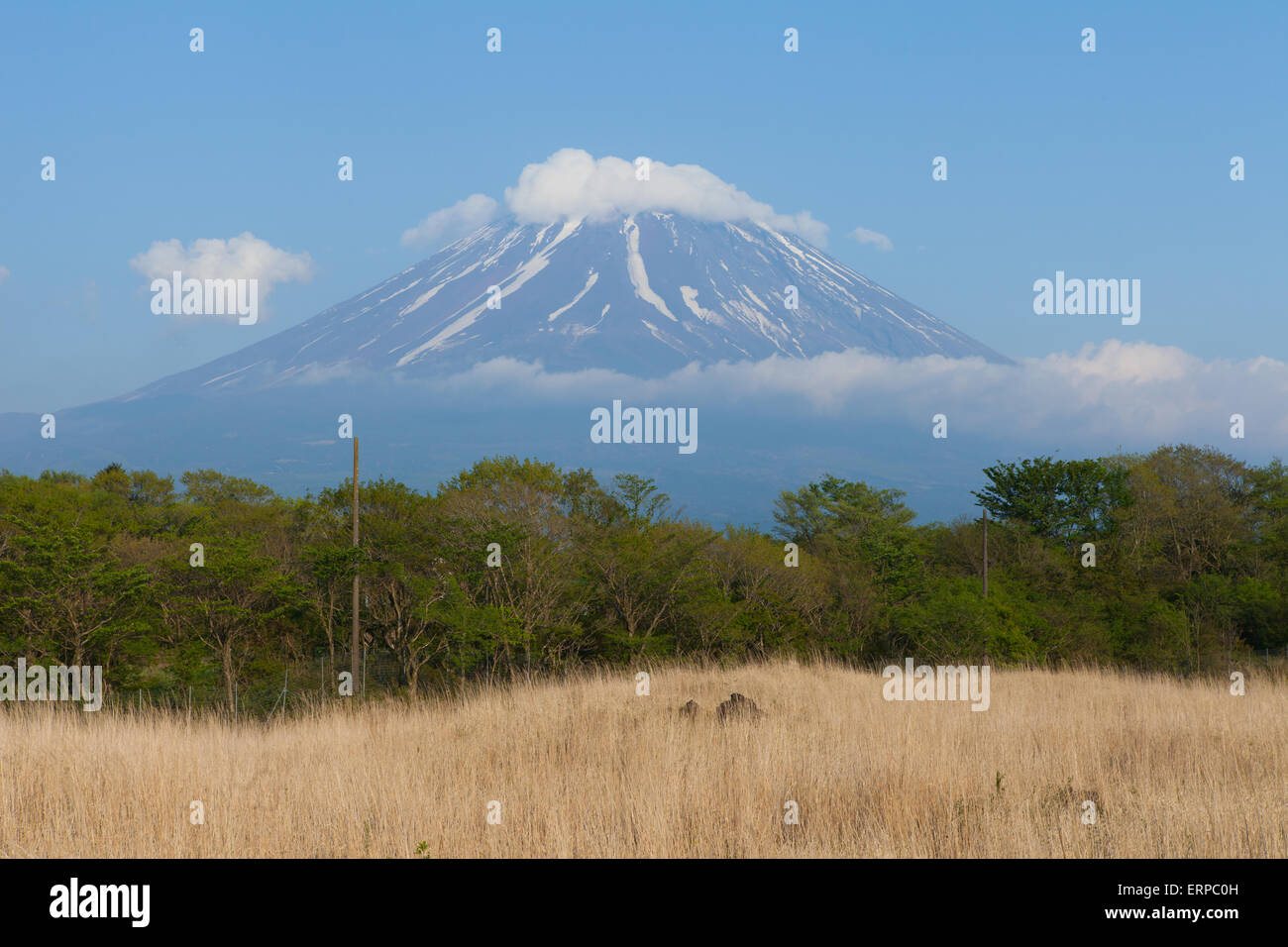 Panoramic view of Mount Fuji Stock Photo - Alamy