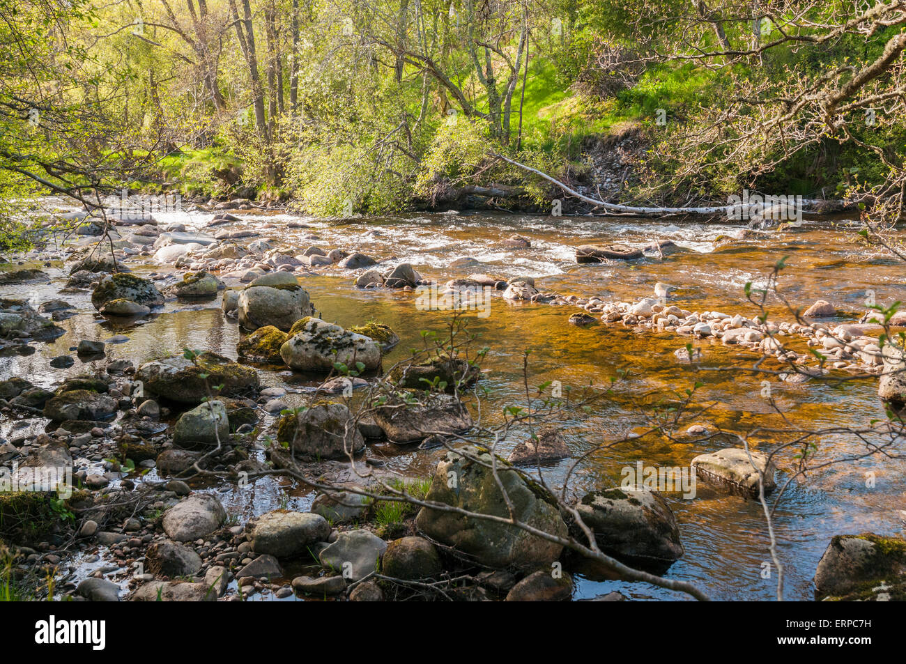 Nethy bridge scotland hi-res stock photography and images - Alamy