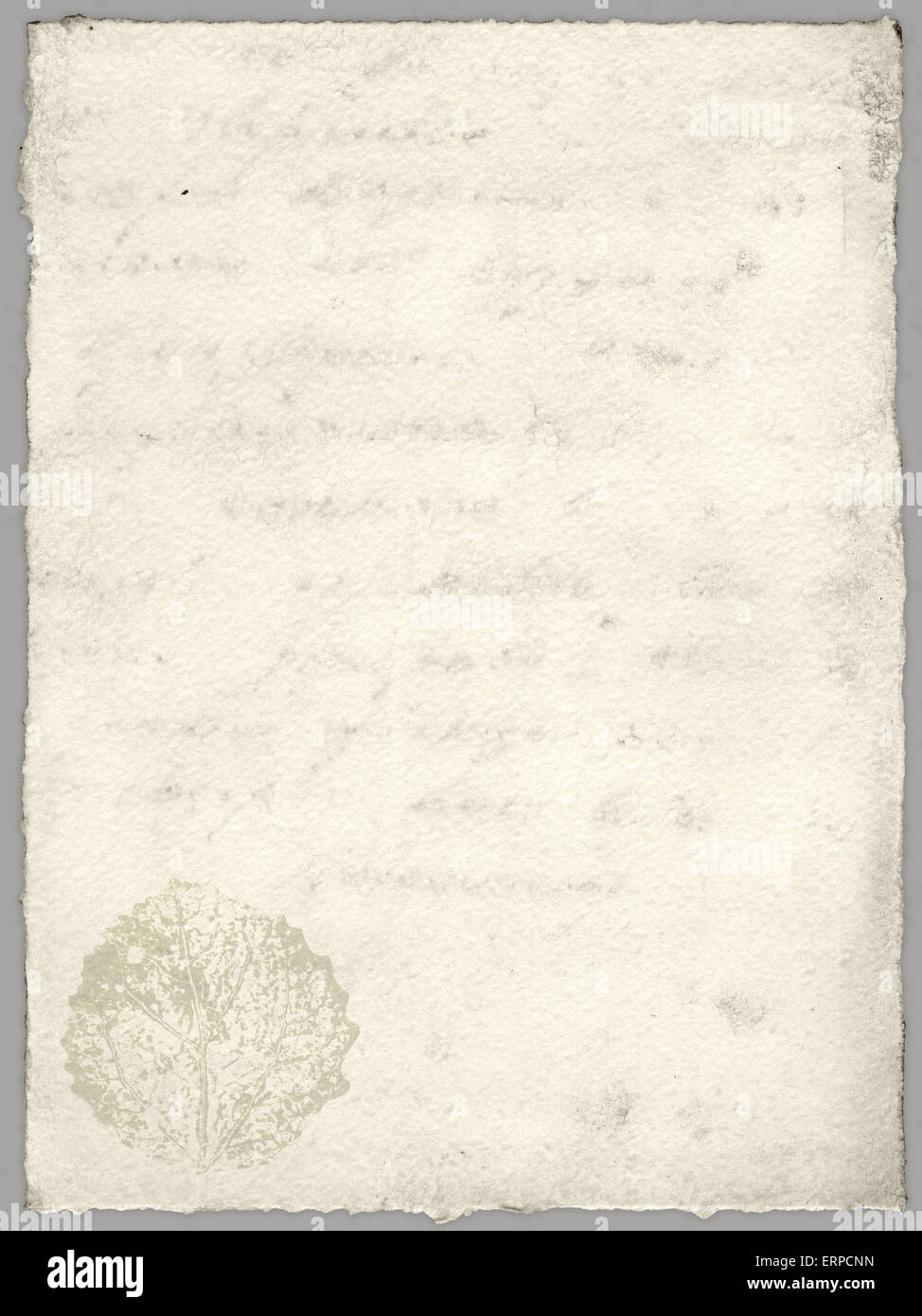 Vintage paper and leaf from herbarium Stock Photo - Alamy