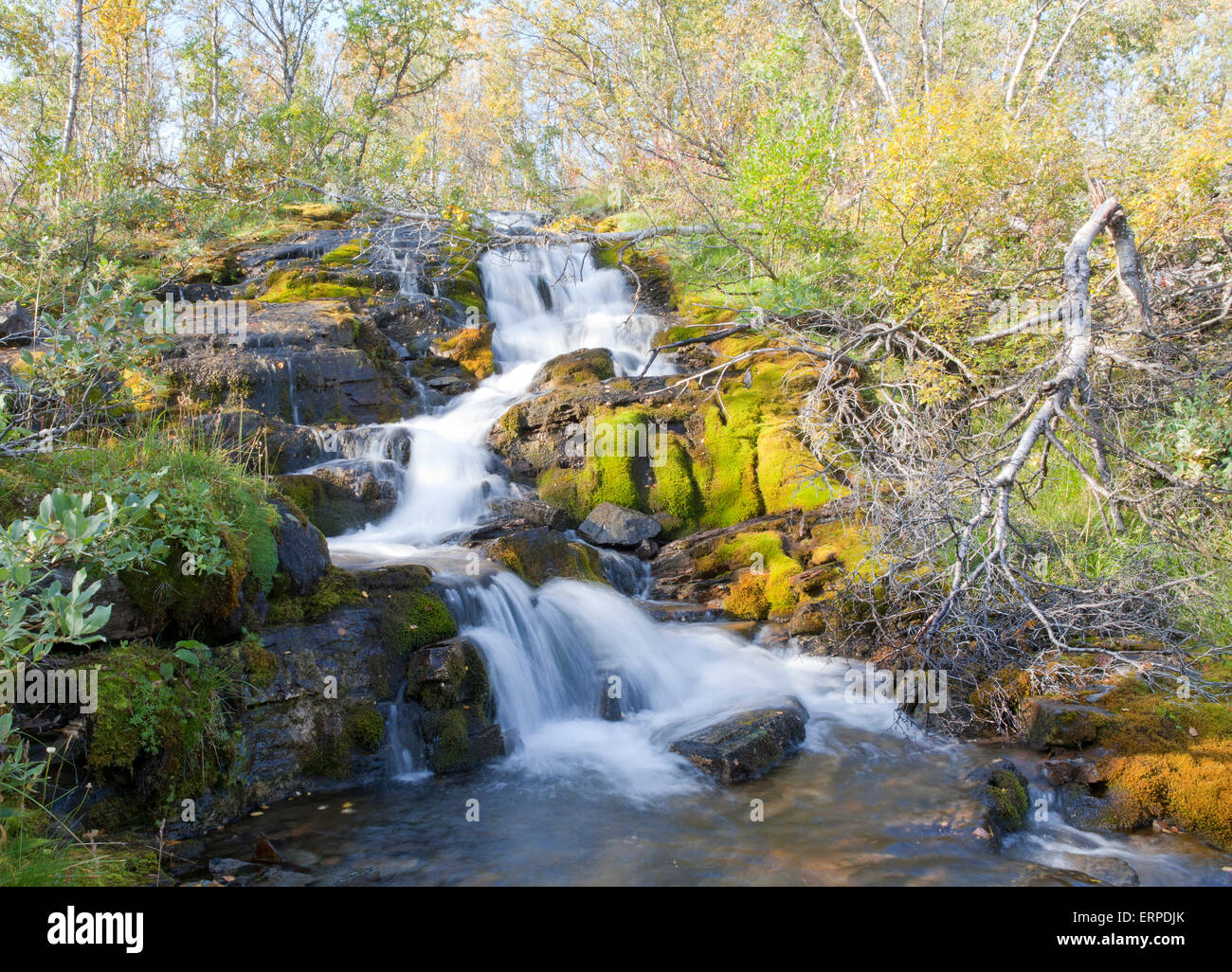 Little brook, creek in the mountain. Autumn and earth tunes colors in ...