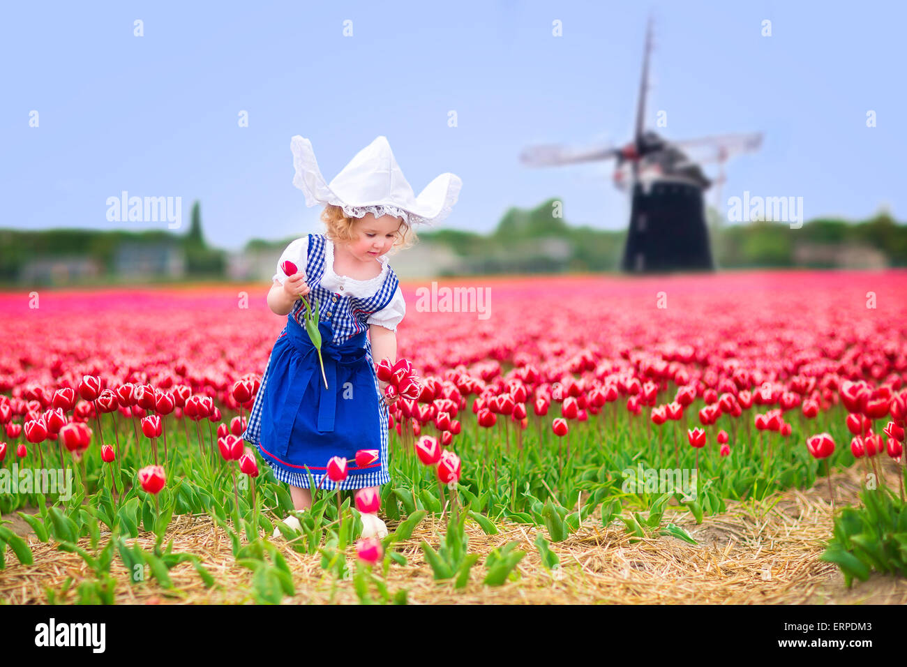 Toddler girl wearing Dutch traditional national costume dress and hat ...