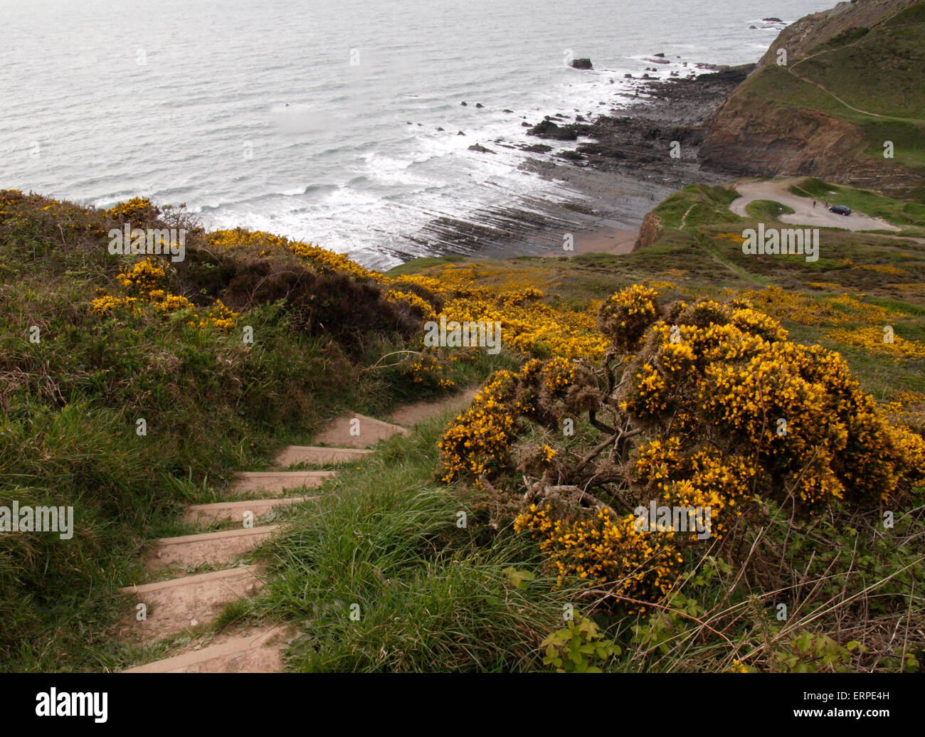 Steps along the Southwest Coast path down to the beach at Welcombe ...