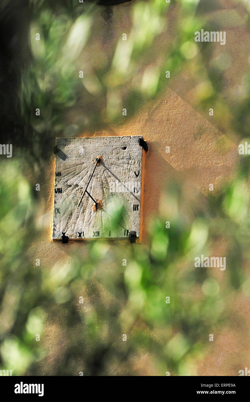 Sundial and olive tree in the Provence Stock Photo - Alamy