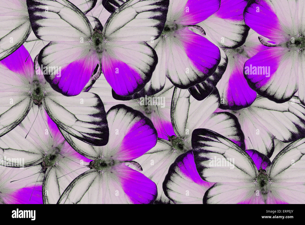 Beautiful multicolor pattern background texture made from male Orange ...
