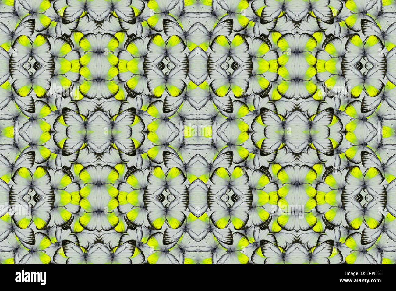 Beautiful multicolor pattern background texture made from male Orange ...