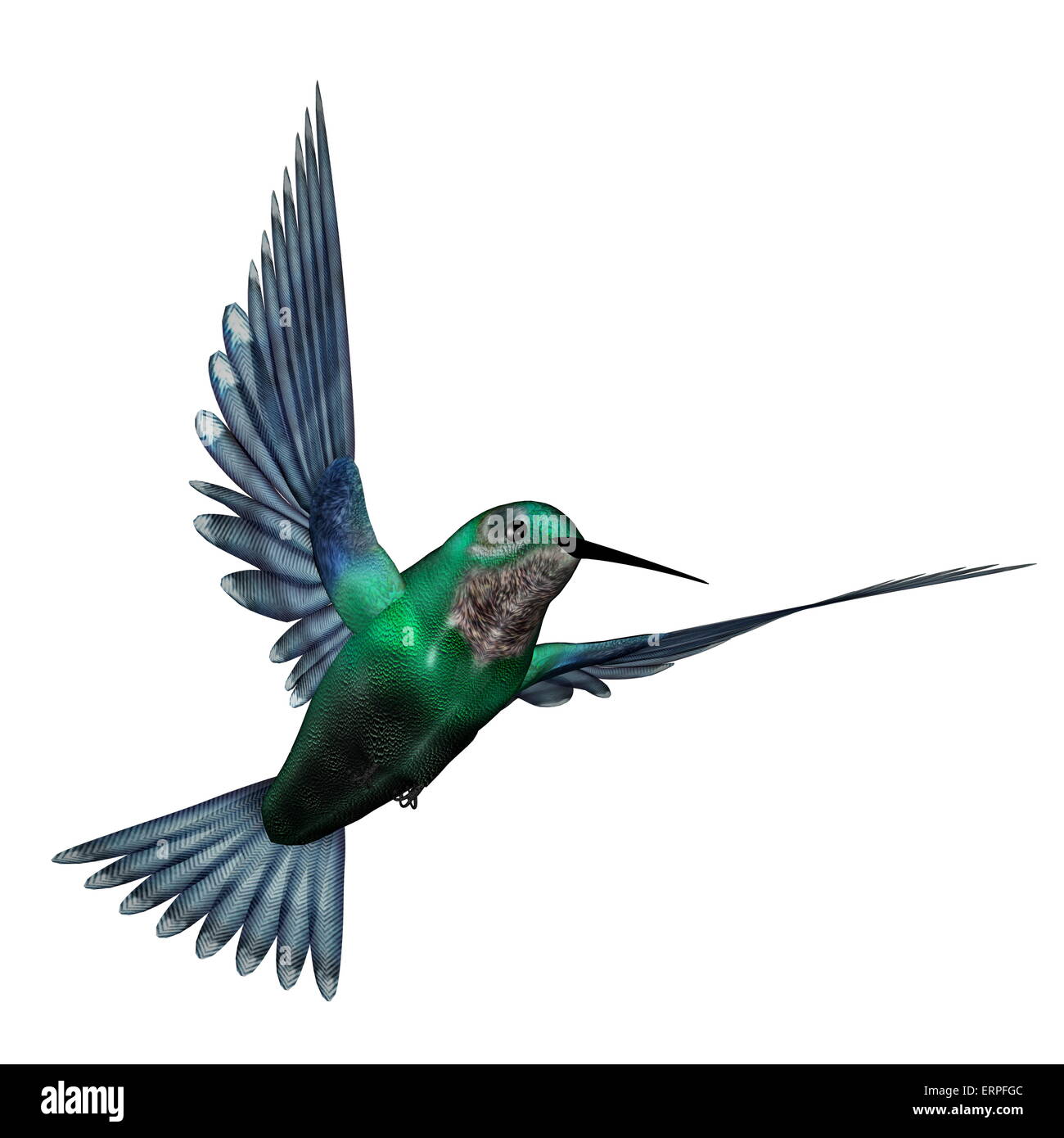 Emerald hummingbird flying isolated in white background - 3D render ...
