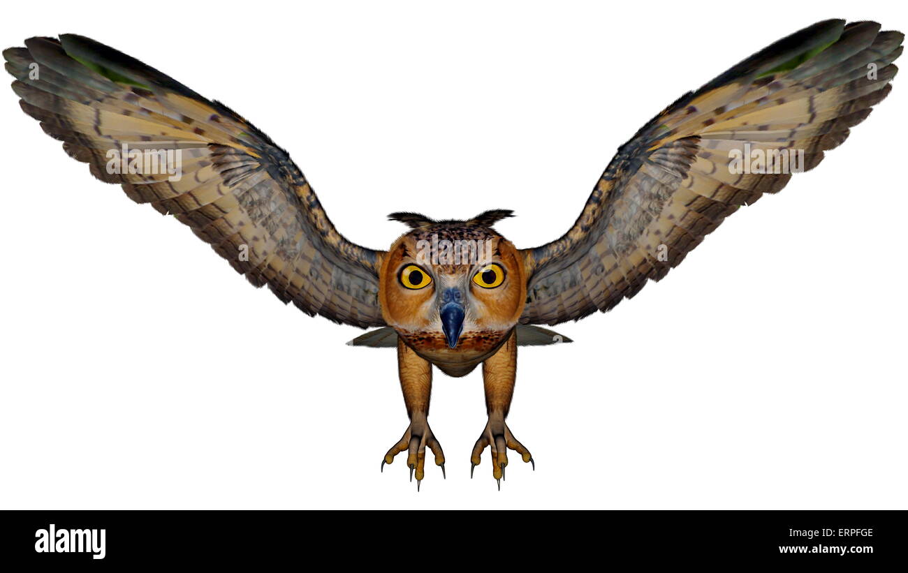 Eagle owl diving isolated in white background - 3D render Stock Photo ...