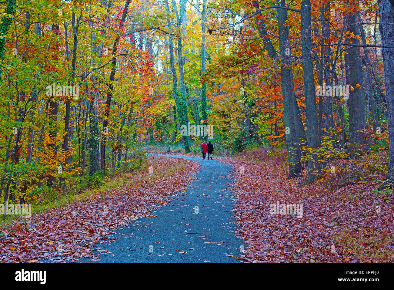 Long pathway in autumn hi-res stock photography and images - Alamy