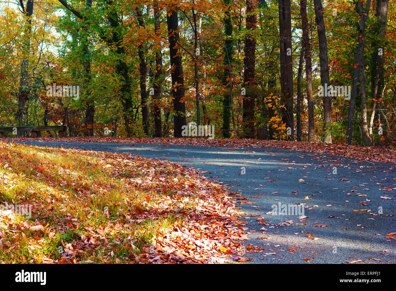 Sunny rays on pathway in hi-res stock photography and images - Alamy