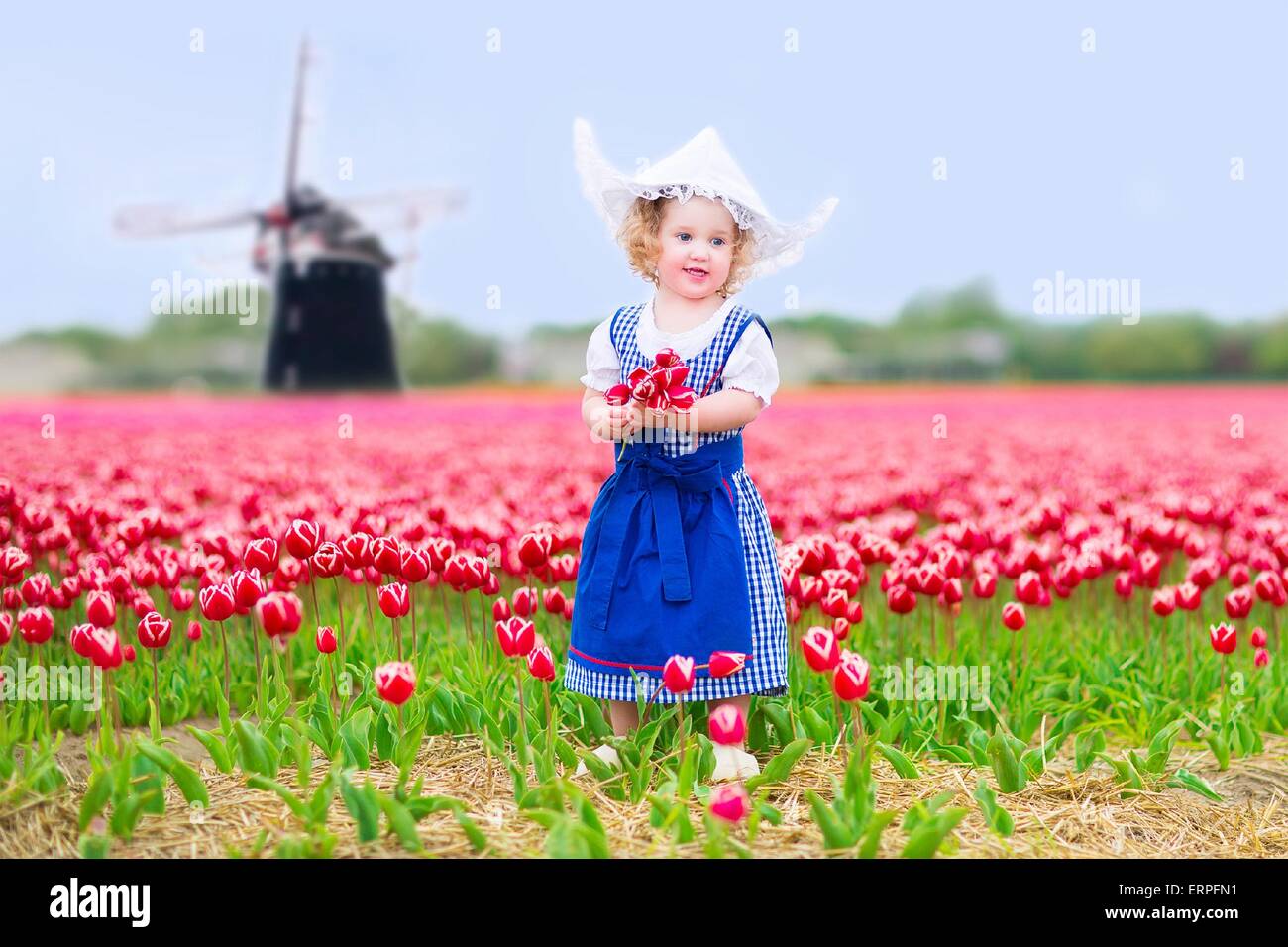 Toddler girl wearing Dutch traditional national costume dress and hat ...