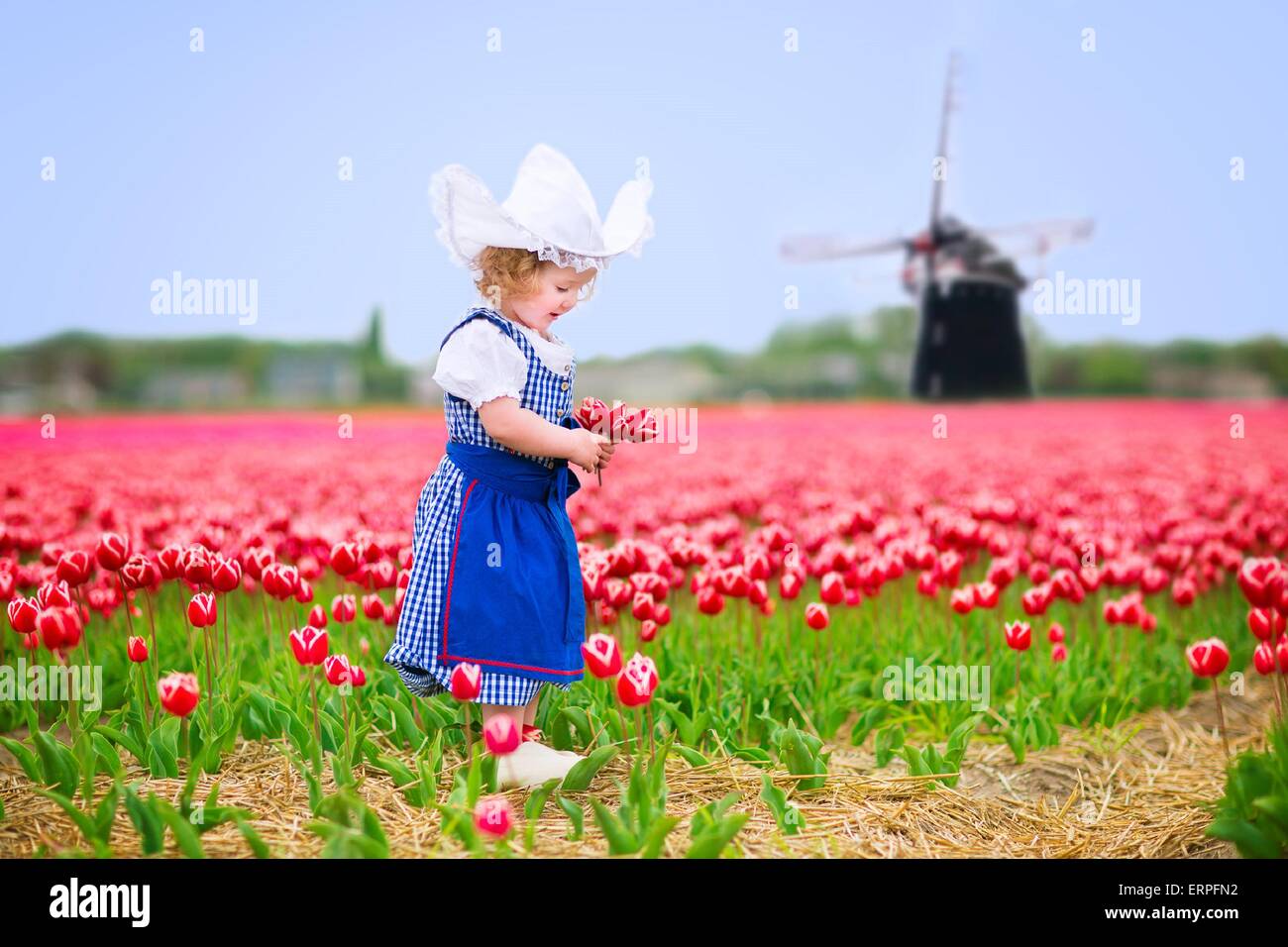 Toddler girl wearing Dutch traditional national costume dress and hat ...