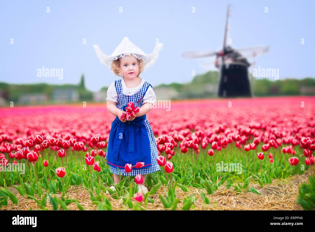 Toddler girl wearing Dutch traditional national costume dress and hat ...