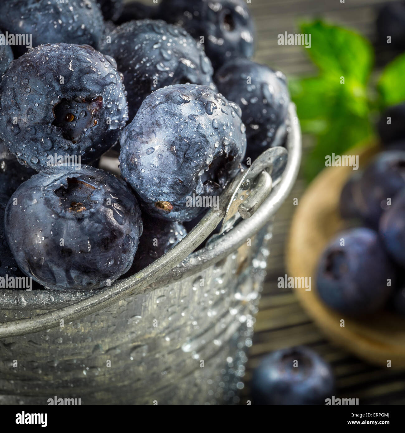 Blueberries in forest hi-res stock photography and images - Alamy