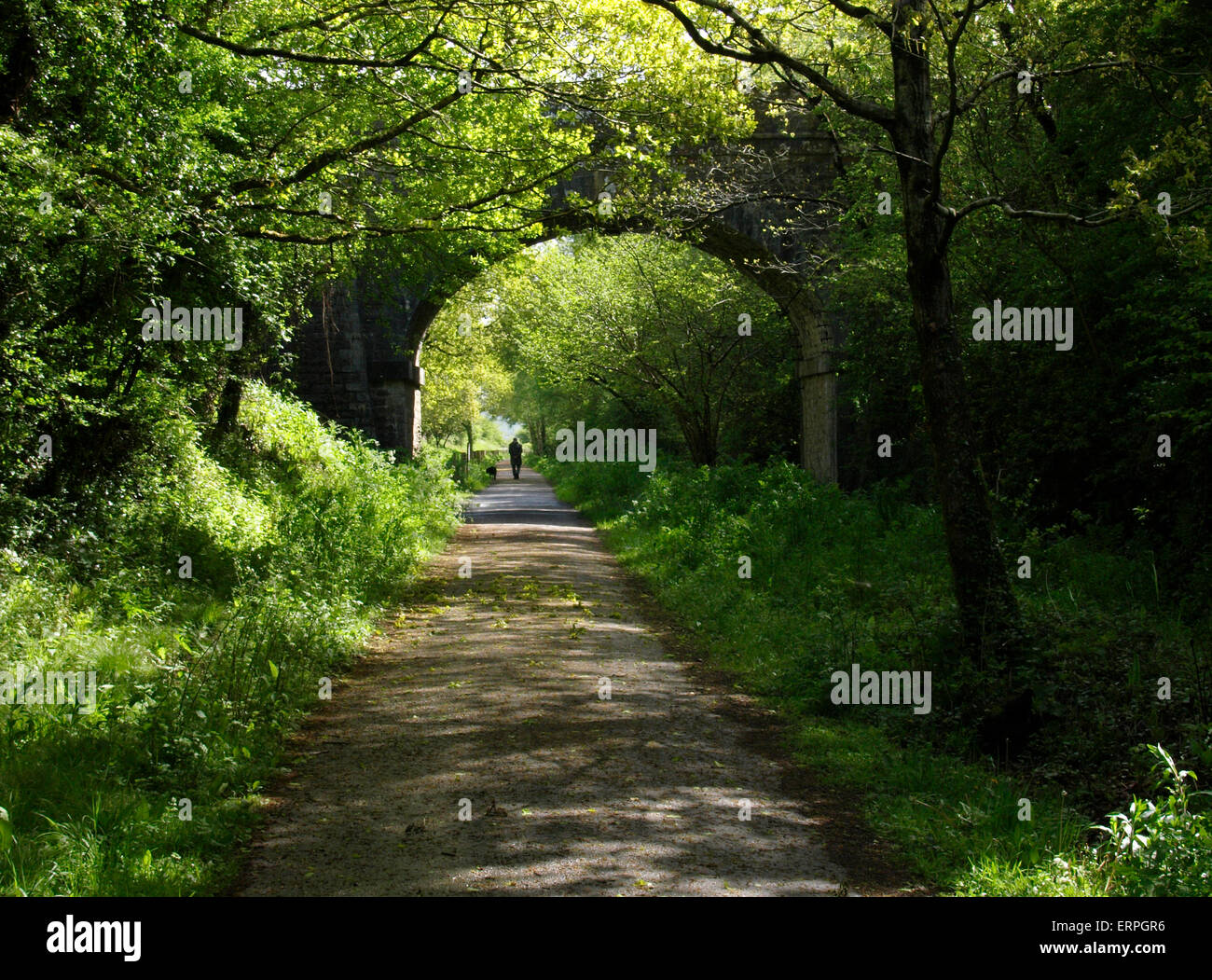 The Tarka Trail, Fremington, Devon, UK Stock Photo - Alamy