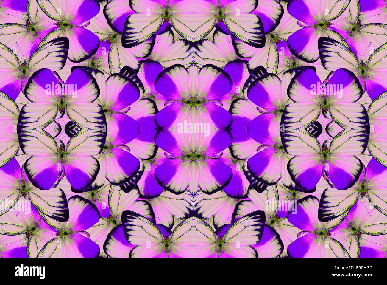 Beautiful multicolor pattern background texture made from male Orange ...
