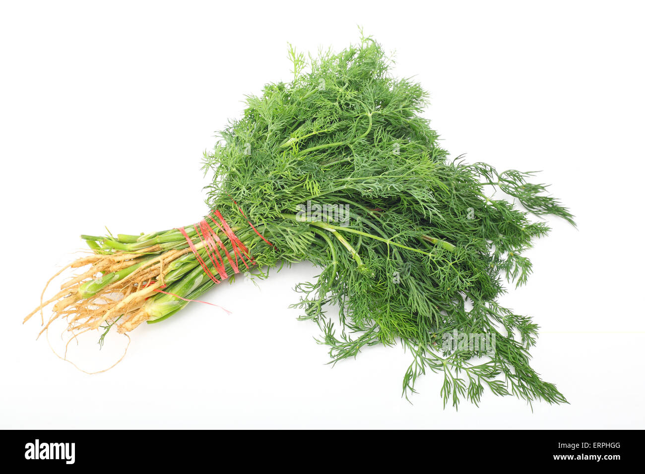 The dill bunch lying on a white background Stock Photo - Alamy