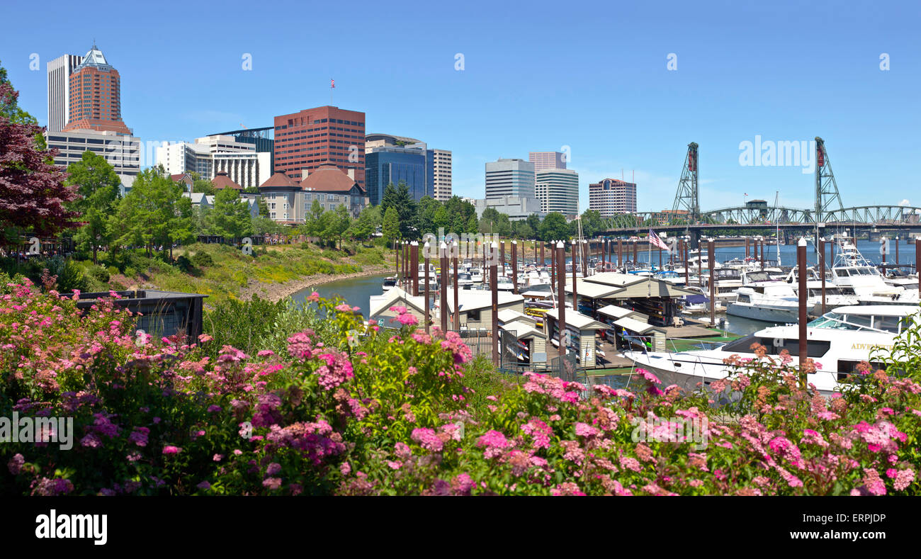 Portland Oregon skyline downtown buildings and marina Stock Photo - Alamy