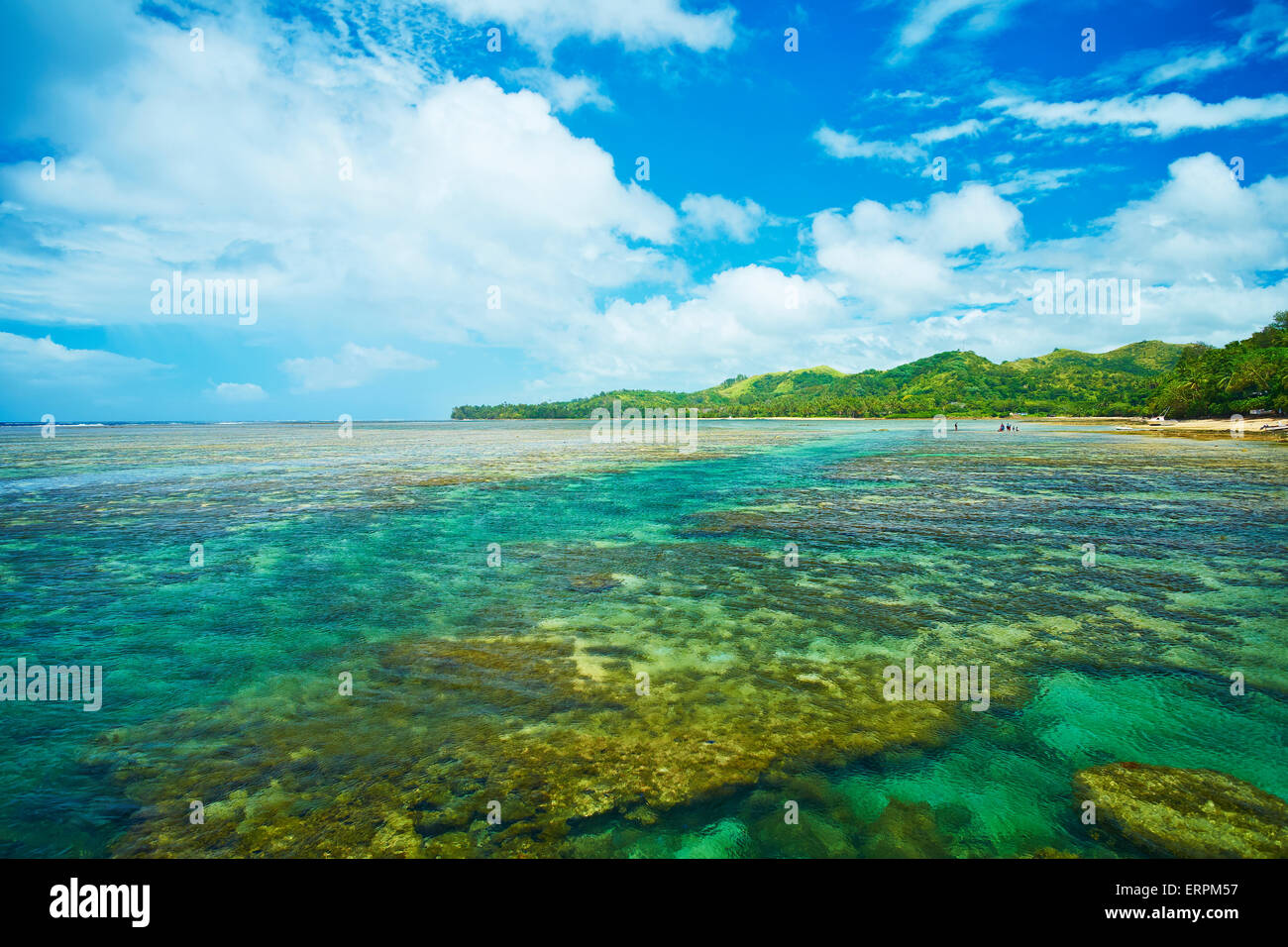 Turquoise reef Fiji Stock Photo - Alamy