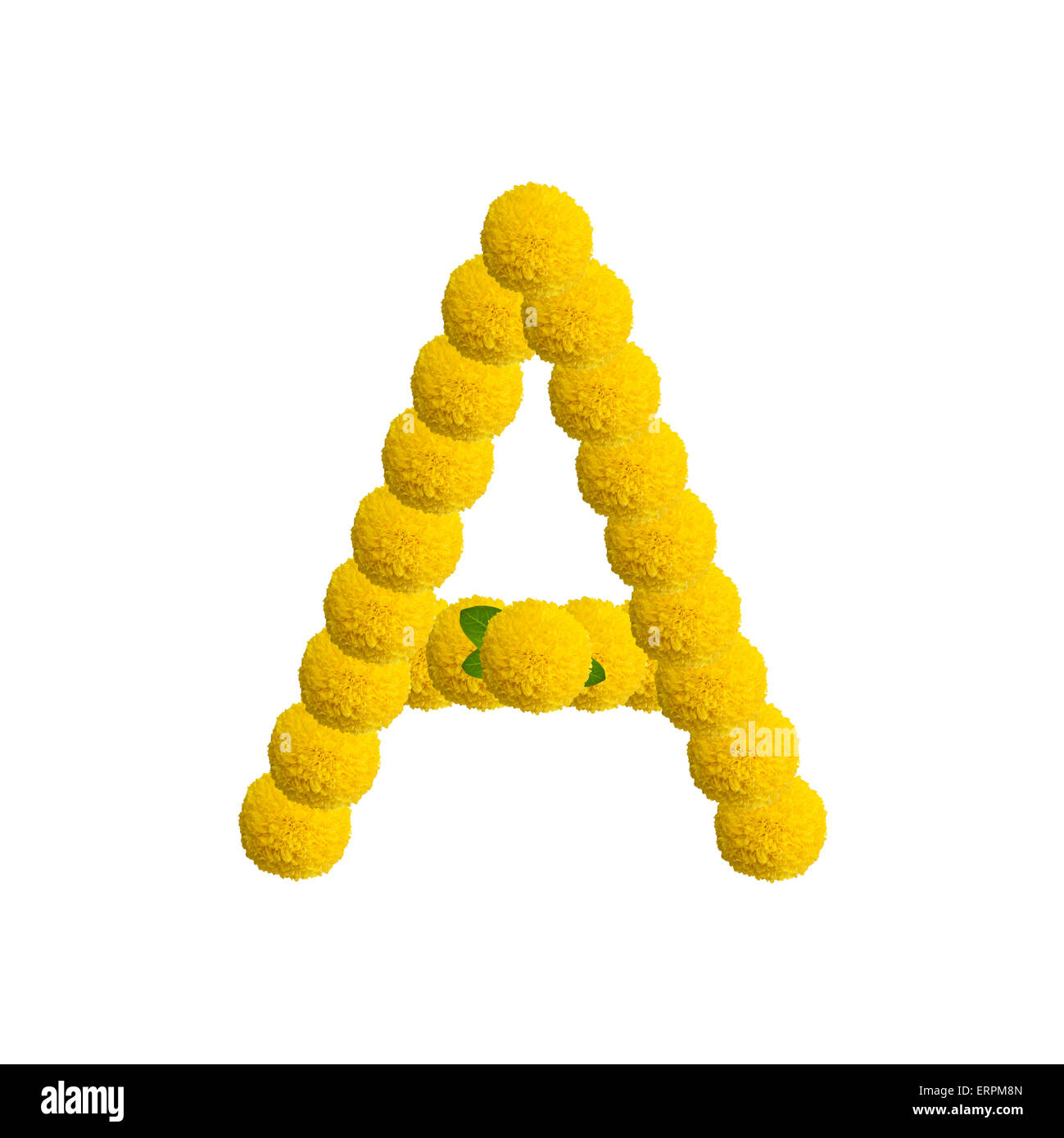 Alphabet from yellow flowers. Isolated on white background Stock Photo ...