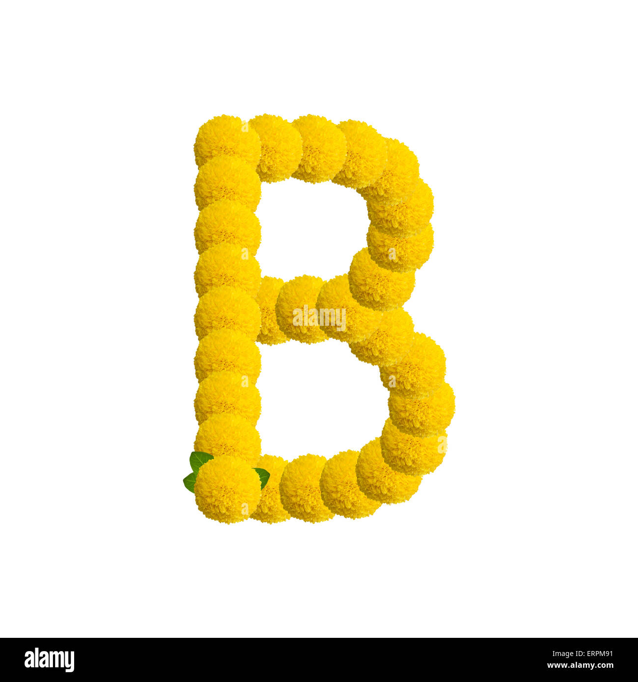 Alphabet from yellow flowers. Isolated on white background Stock Photo ...