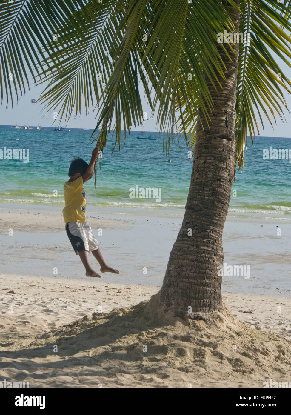 Boy playing in a palm tree on the beach in Boracay, Philippines Stock ...