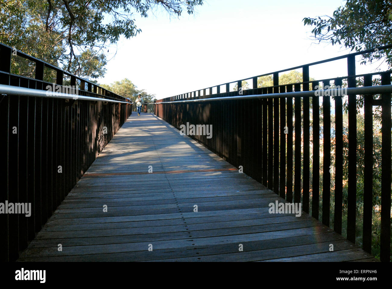 Kings park federation walkway perth hi-res stock photography and images ...