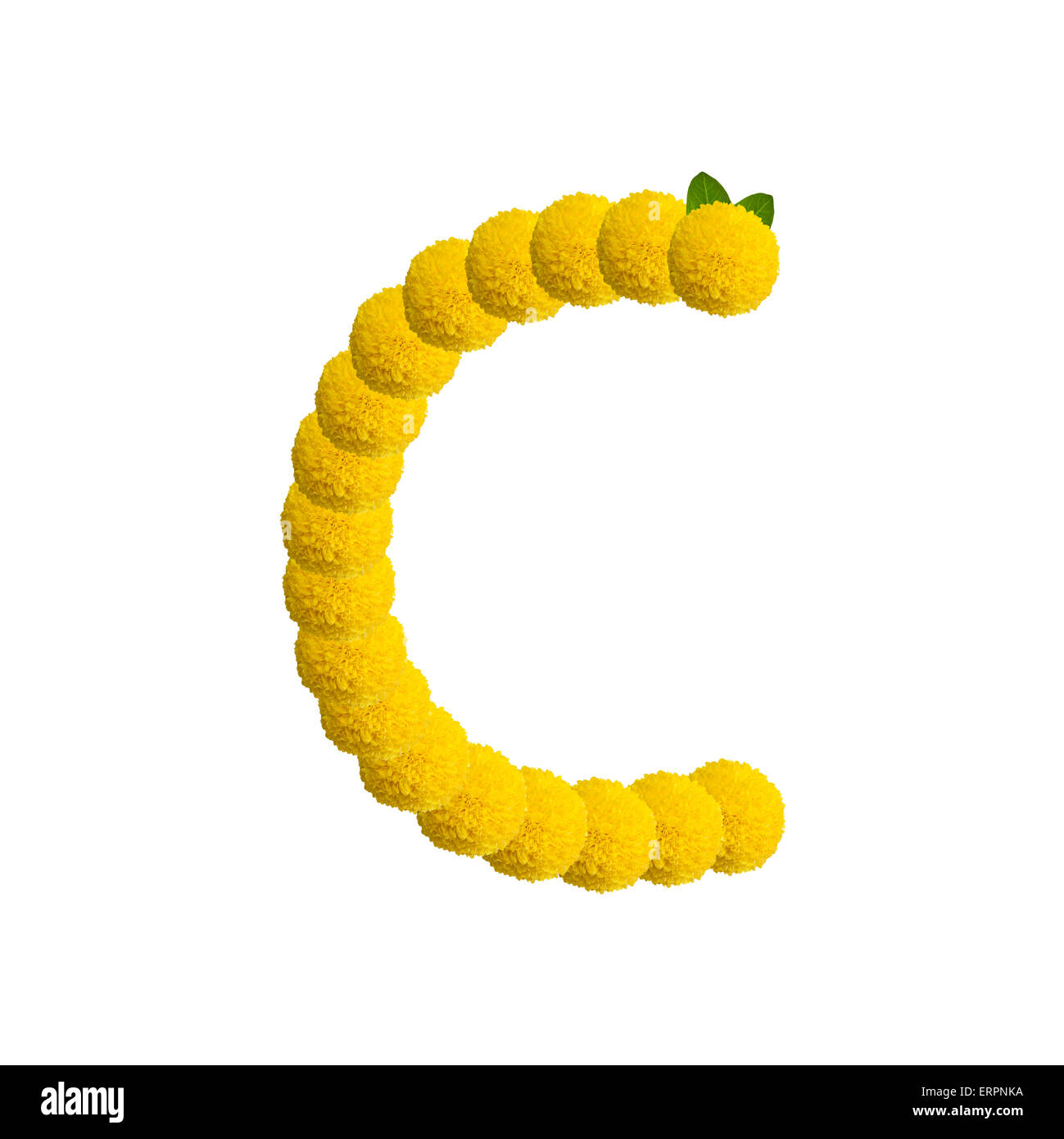 Alphabet from yellow flowers. Isolated on white background Stock Photo ...