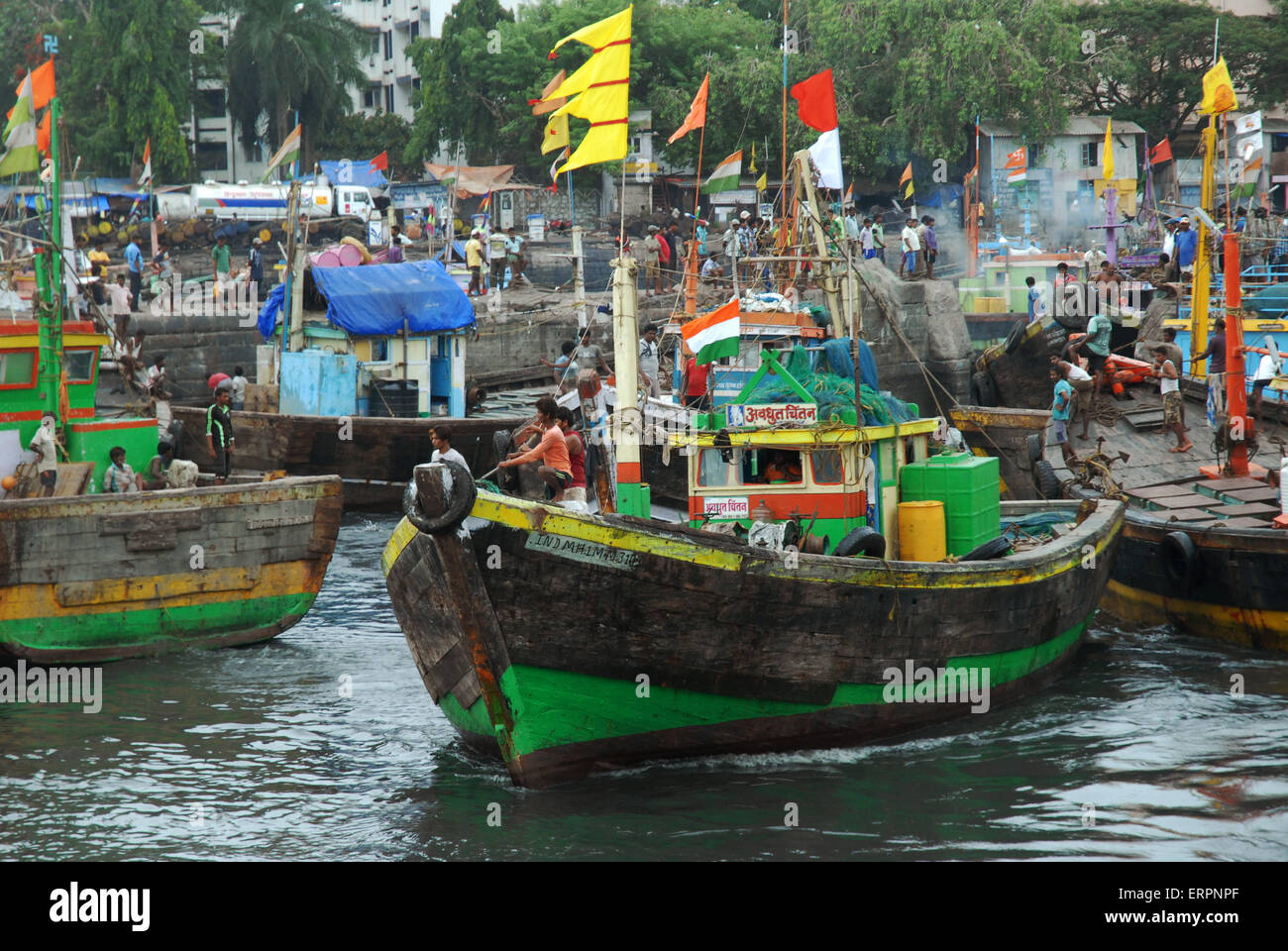 Fish Market Mumbai Maharashtra at Angela Prasad blog