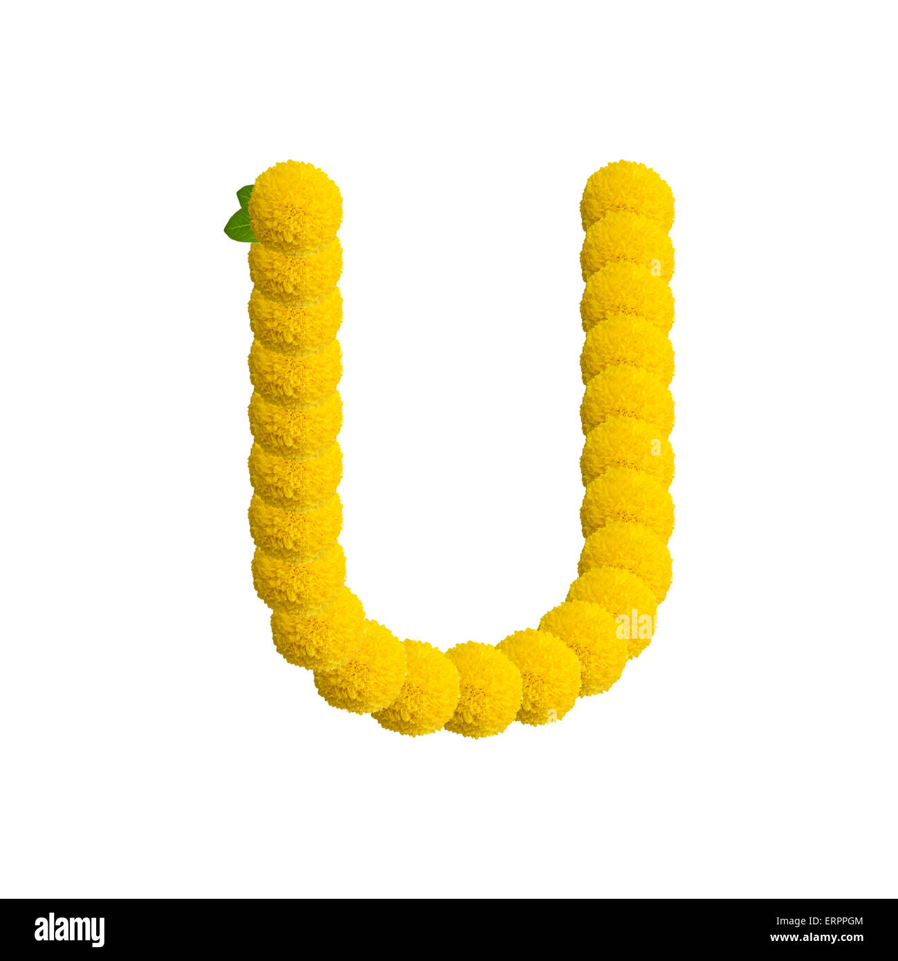 Alphabet from yellow flowers. Isolated on white background Stock Photo ...