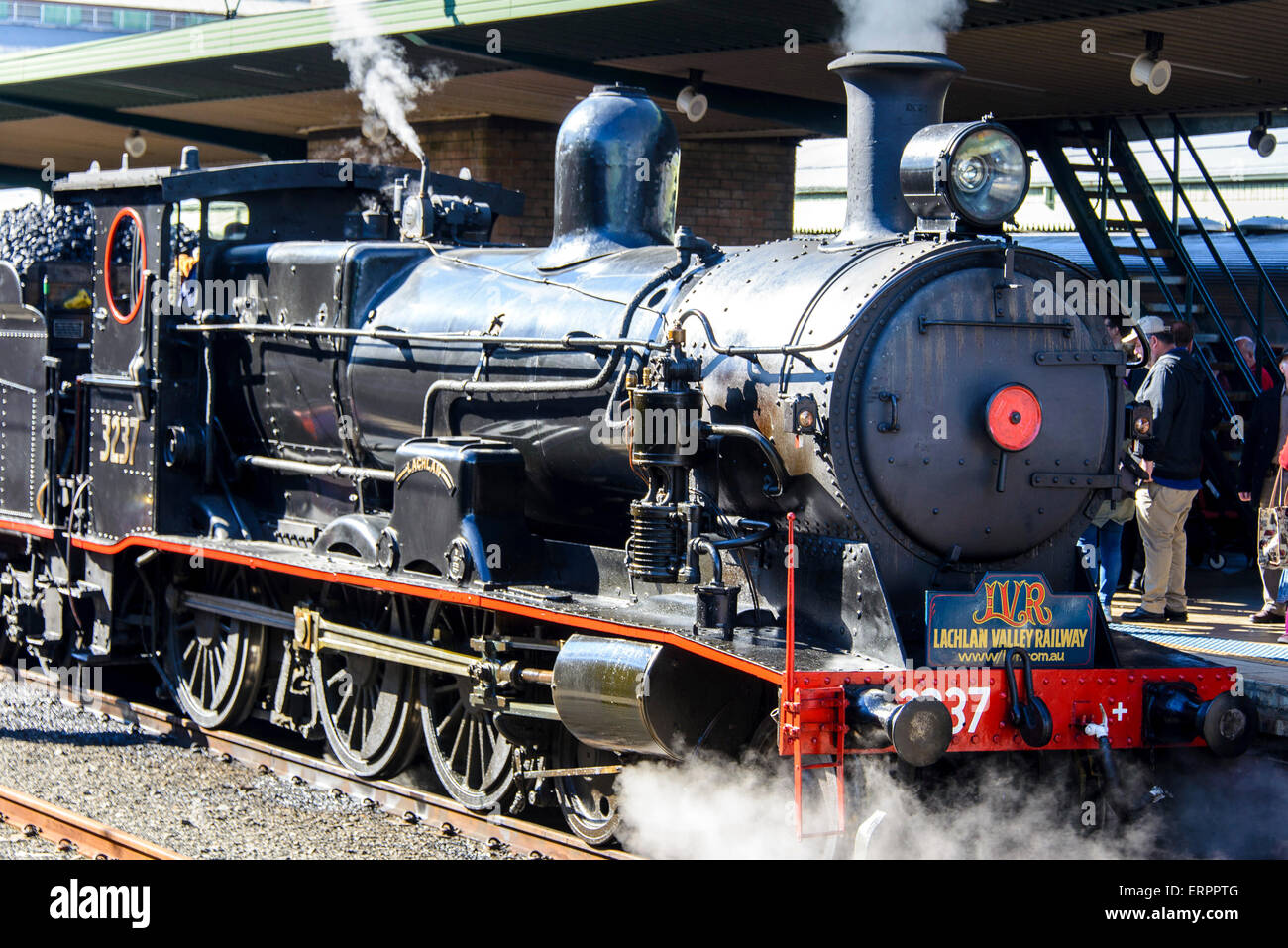 Sydney, Austarlia. 7th June, 2015. The Great Train Race from Central to ...