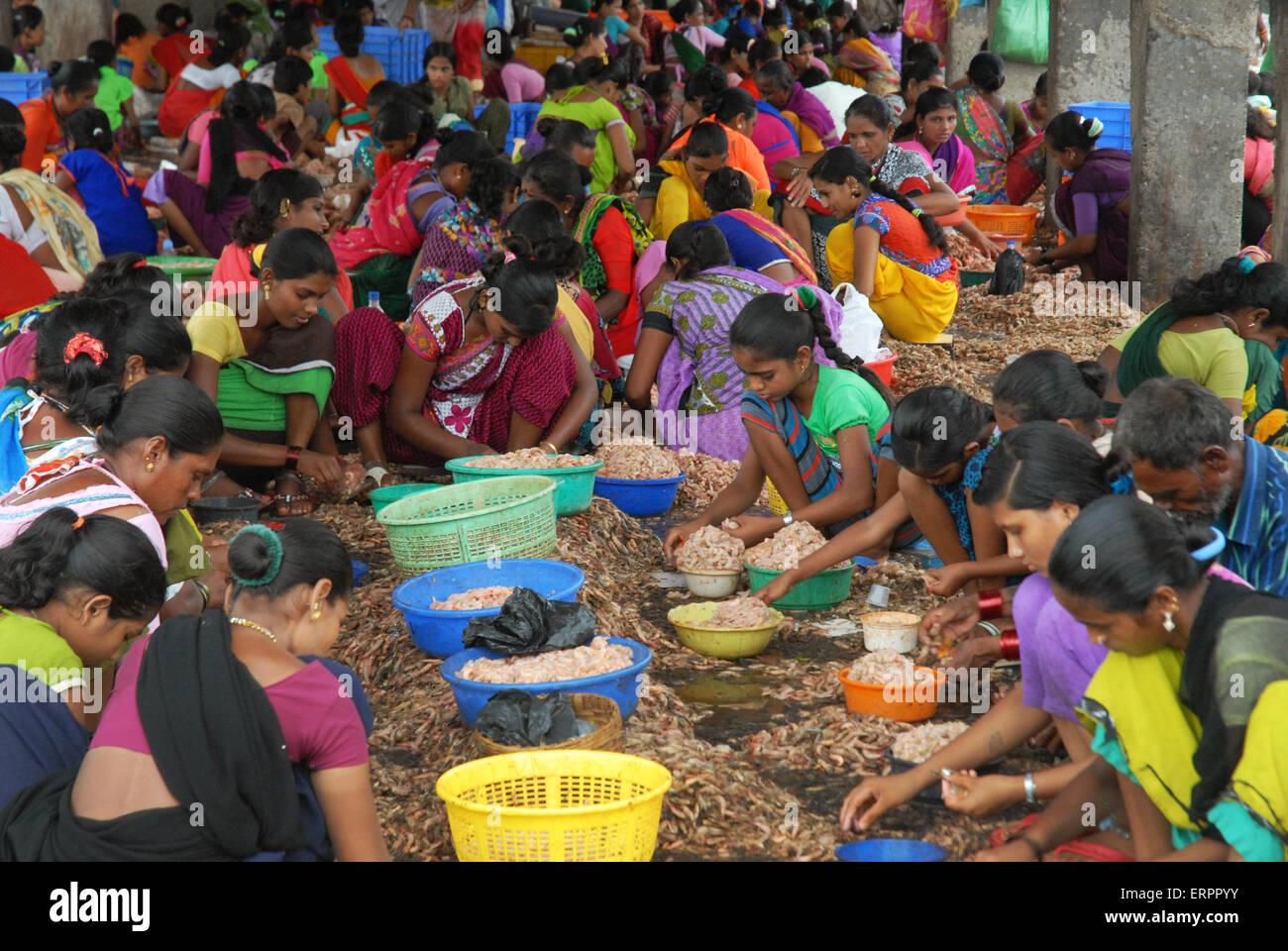 Fish Market Mumbai Maharashtra at Angela Prasad blog