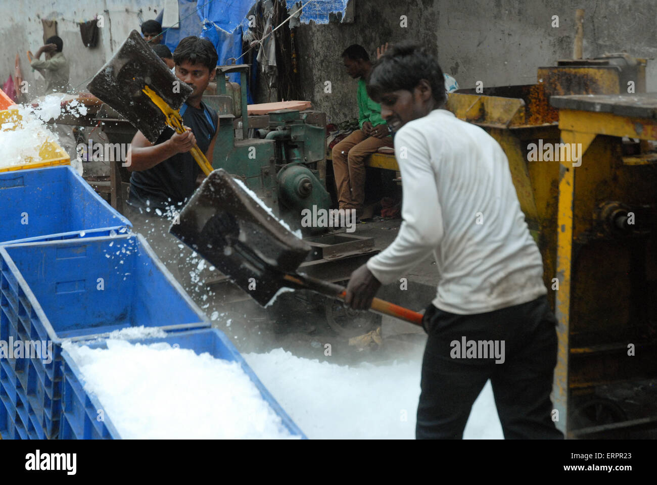 Men filling boxes with ice, Sassoon Docks fish market, Mumbai ...