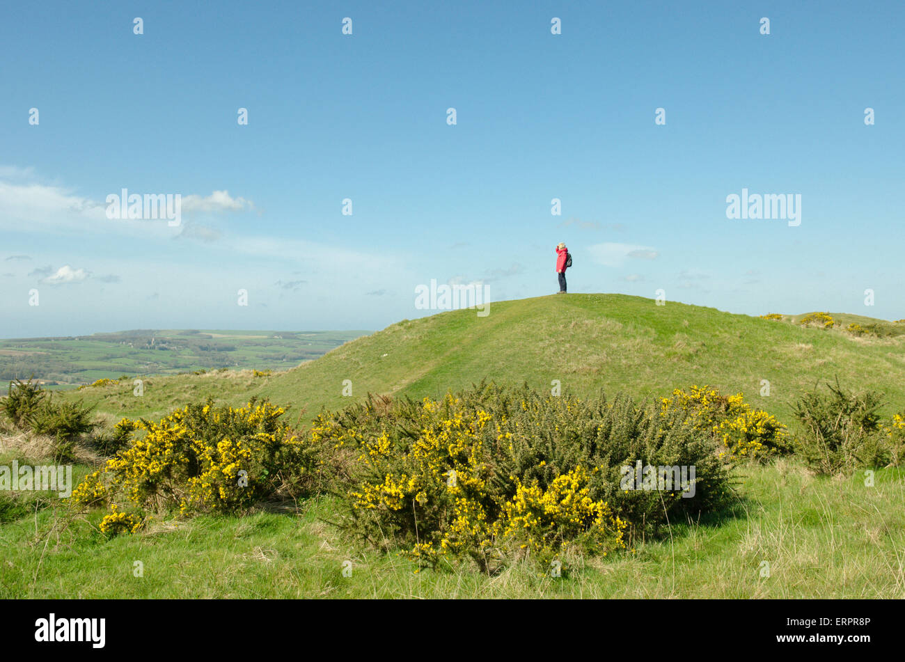 Nine barrow down hi-res stock photography and images - Alamy