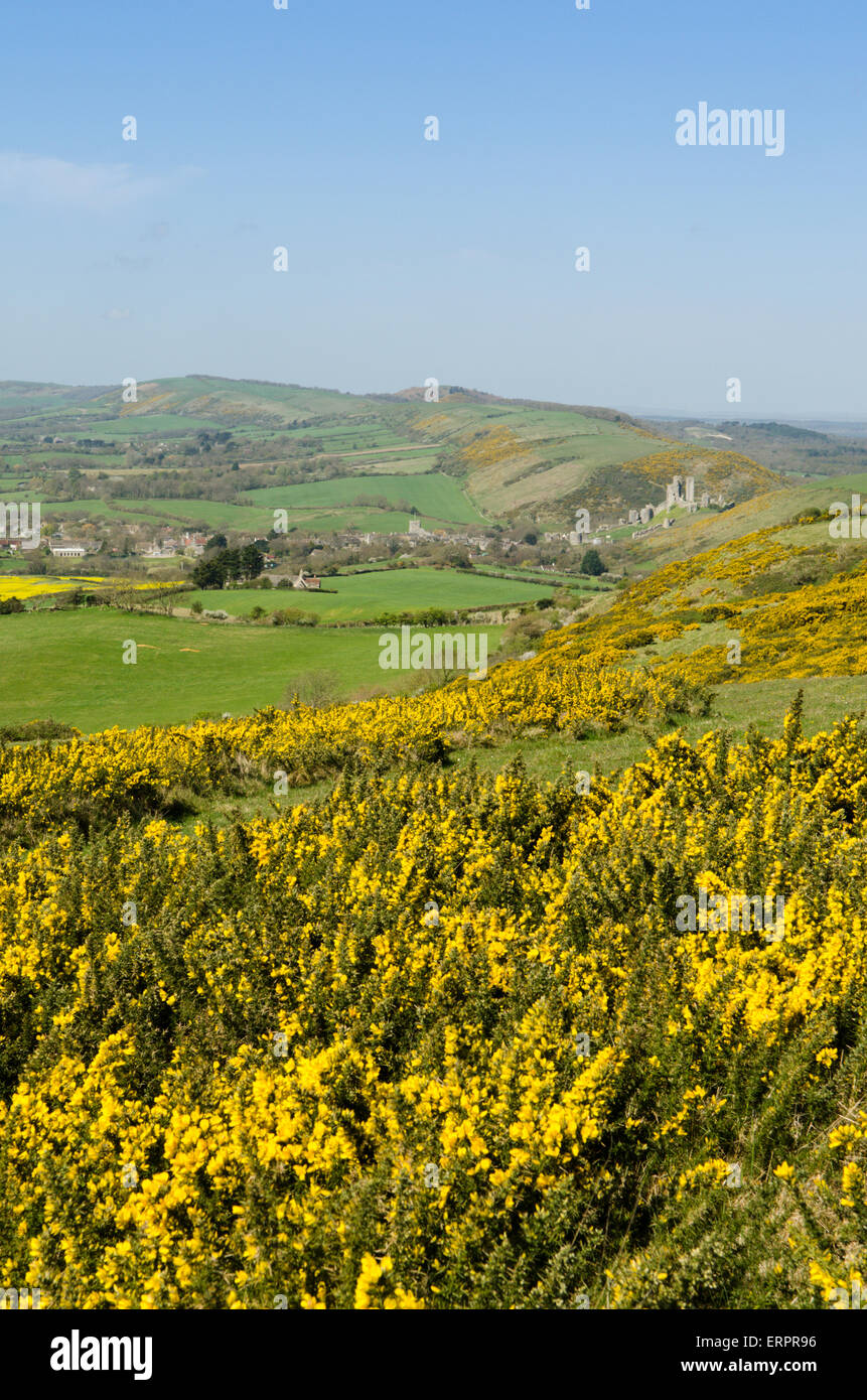 Challow Hill High Resolution Stock Photography and Images - Alamy
