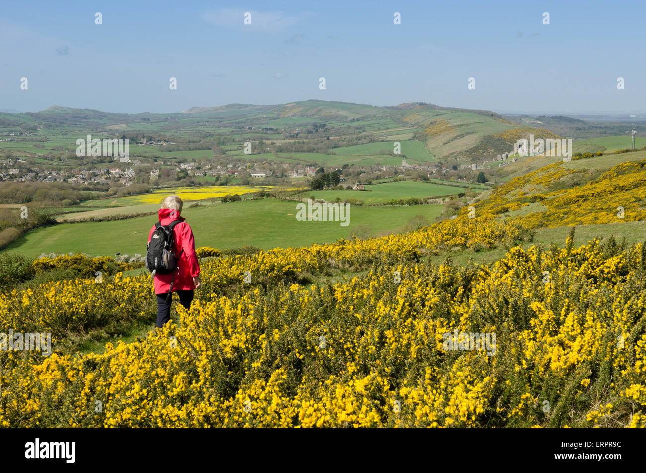 Challow Hill High Resolution Stock Photography and Images - Alamy