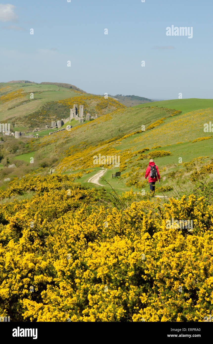 Challow Hill High Resolution Stock Photography and Images - Alamy