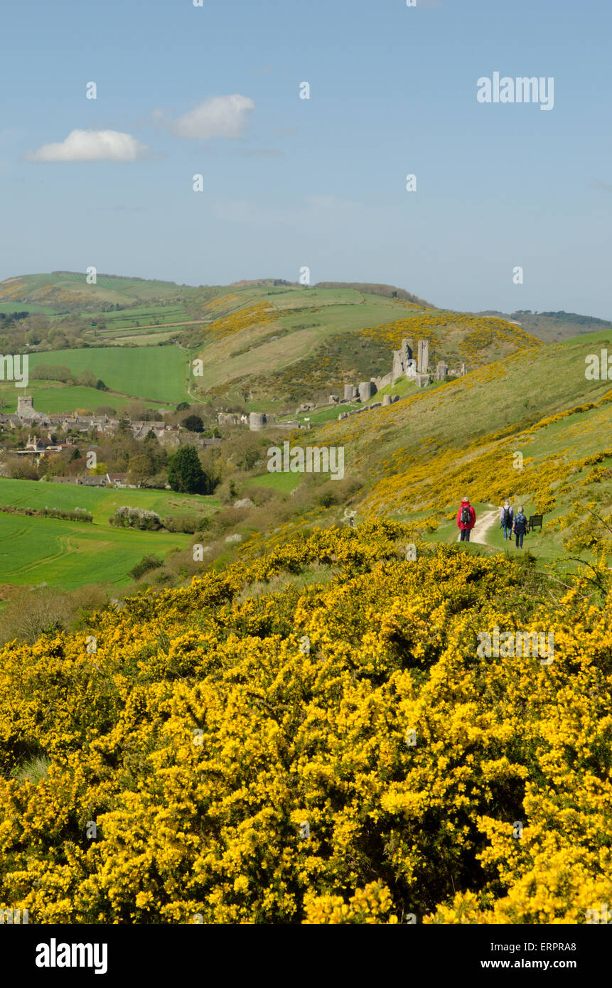 Challow Hill High Resolution Stock Photography and Images - Alamy
