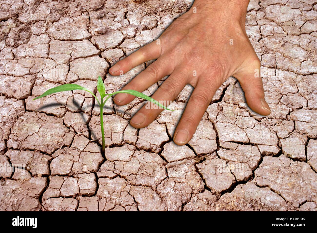 Seedling and hand on cracked earth hi-res stock photography and images ...