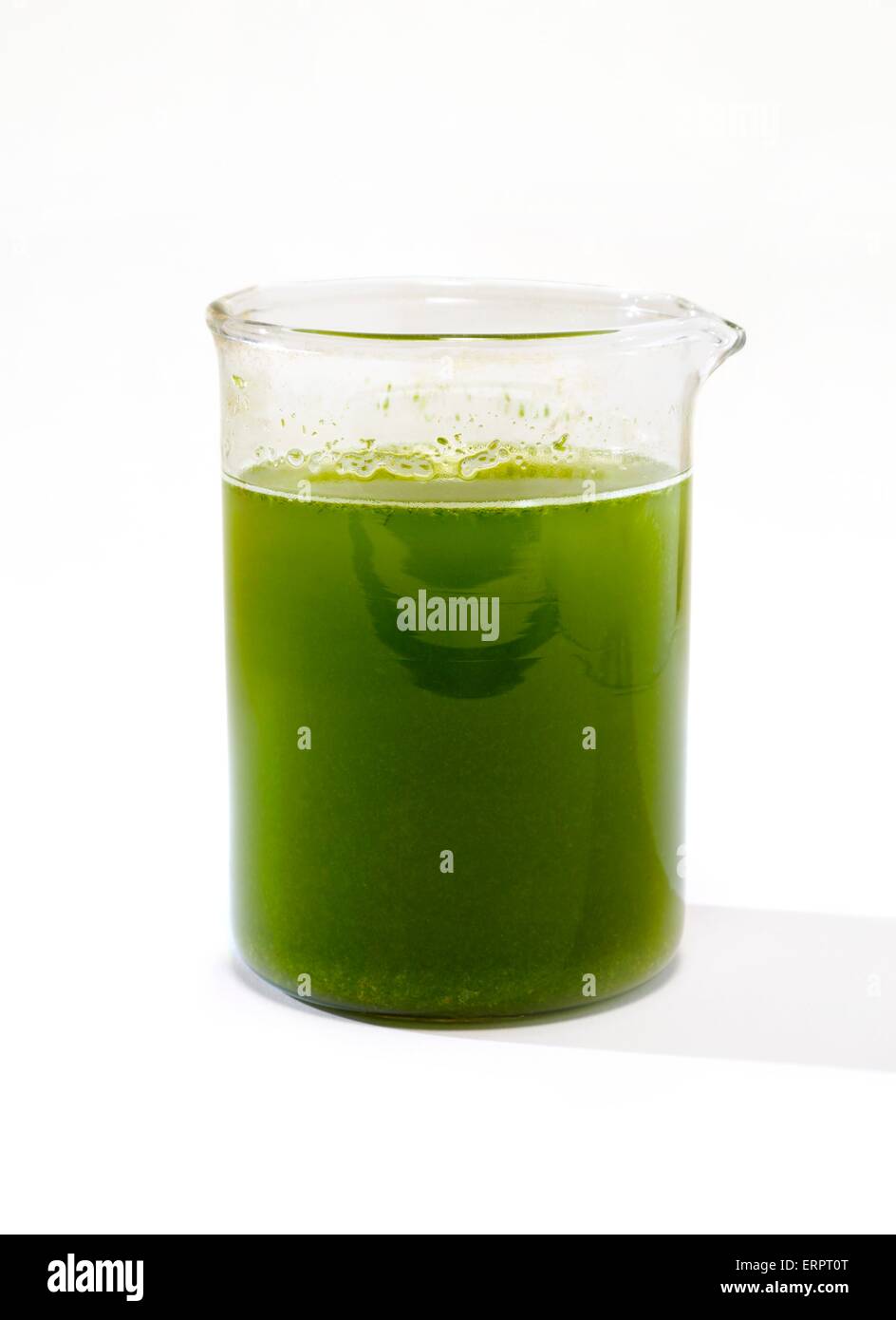 Algae in a glass beaker hi-res stock photography and images - Alamy