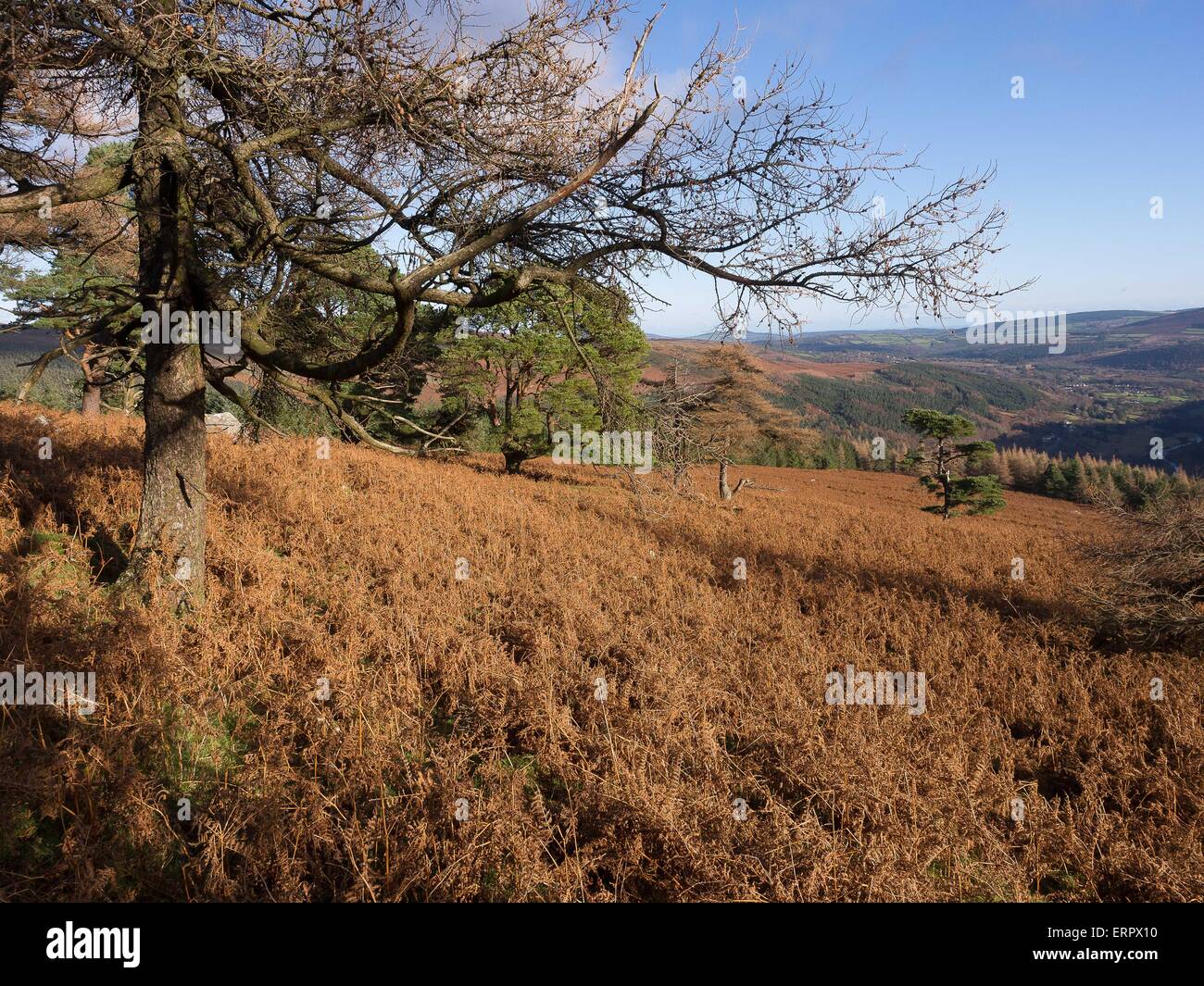Winter hiking in wicklow hi-res stock photography and images - Alamy