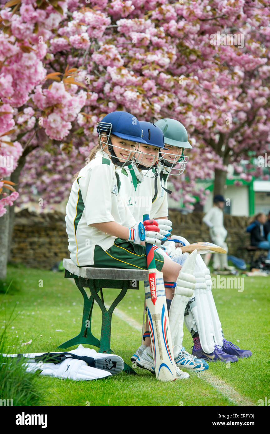Blossom bat hi-res stock photography and images - Alamy