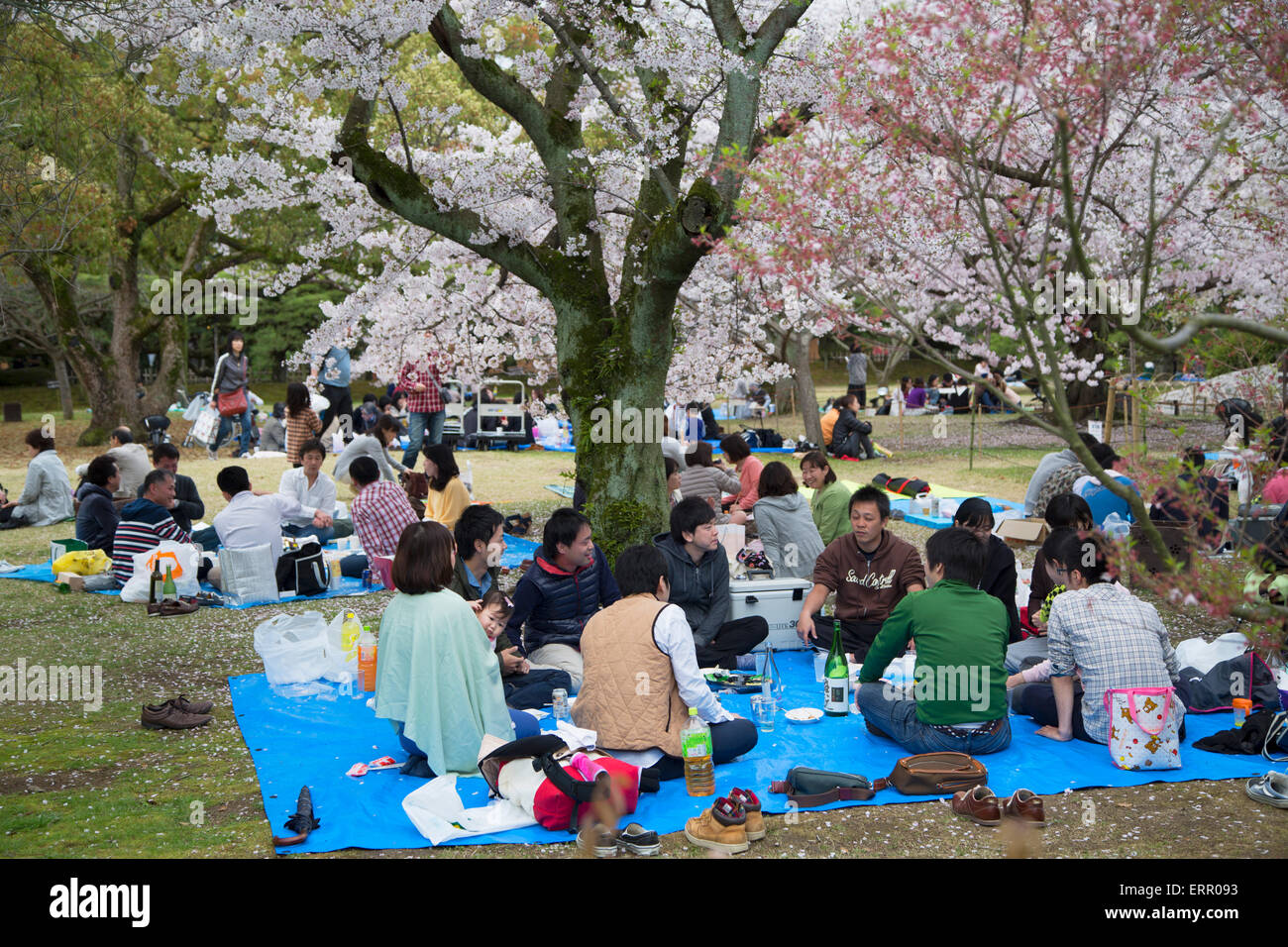 Picnic under trees hi-res stock photography and images - Alamy