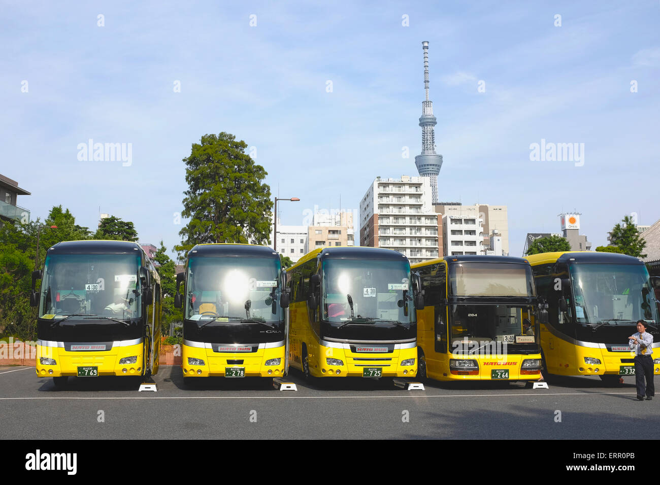 Sightseeing buses lined up side by side in Asakusa Stock Photo - Alamy