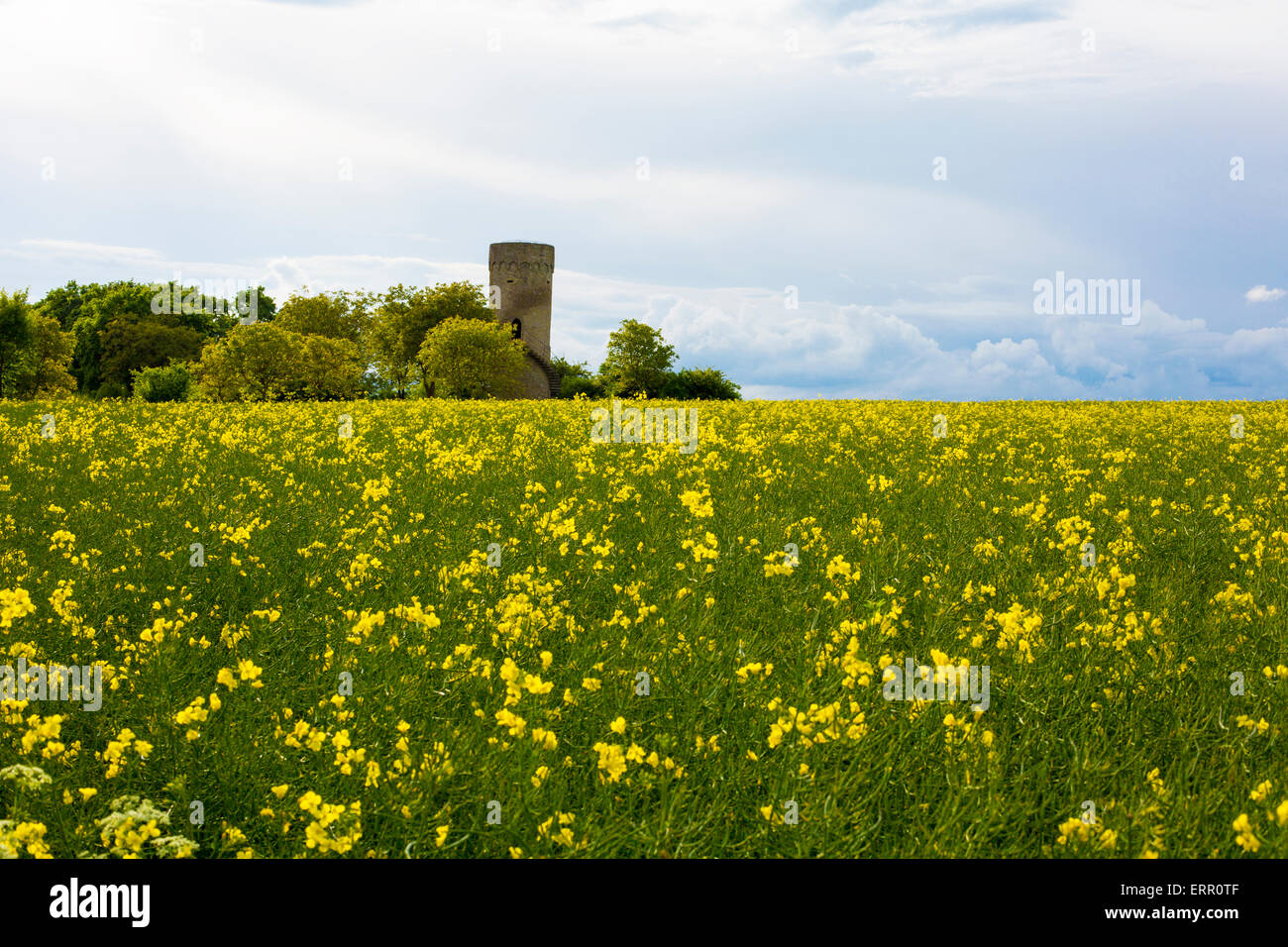 old tower in the midst of a green field Stock Photo - Alamy