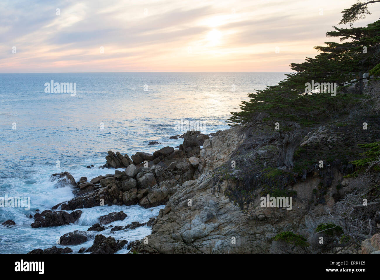 coastline with cliffs and trees in big sur Stock Photo - Alamy